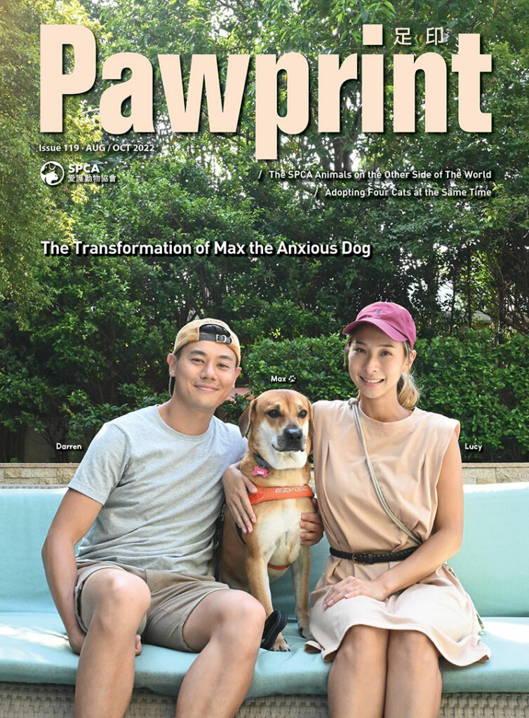 Pawprint Magazine - SPCA