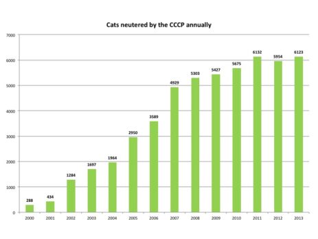 Cat Colony Care Programme - SPCA