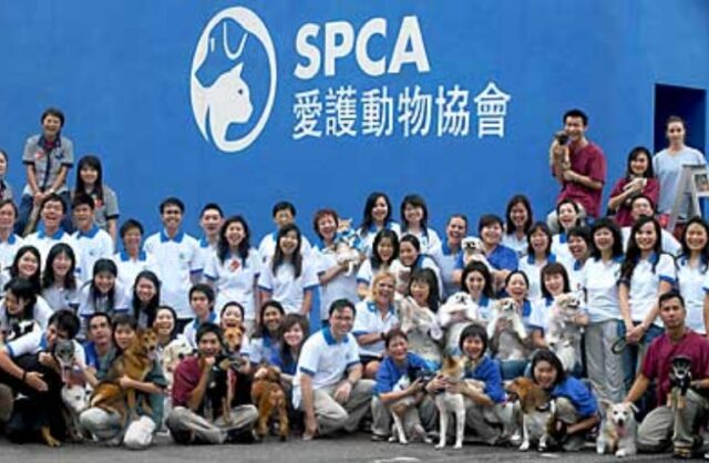 Contact - SPCA