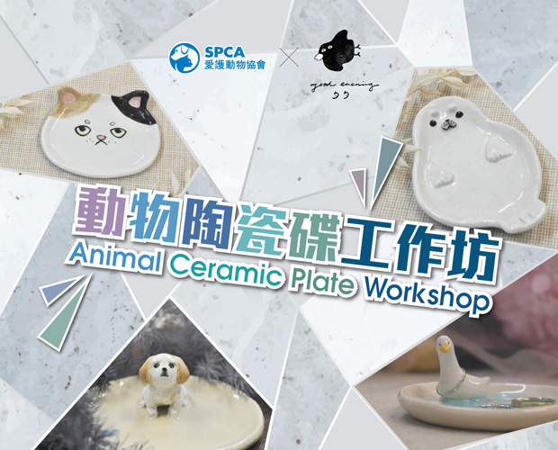Animal Ceramic Plate Workshop - SPCA