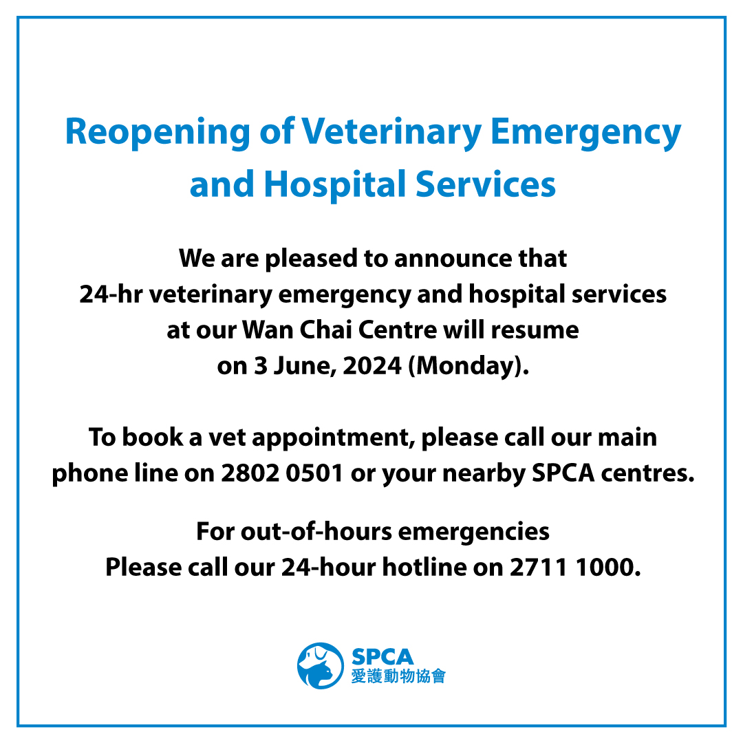 Vet Services - SPCA