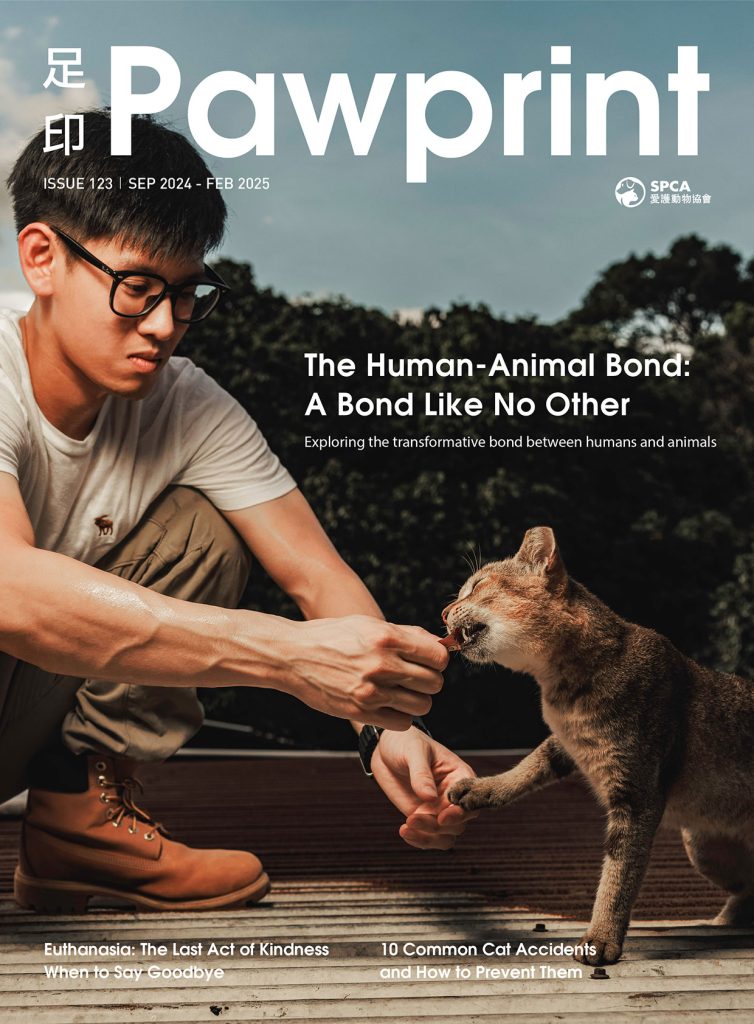 Pawprint Magazine - SPCA