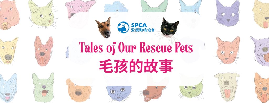 Home - SPCA SPCA