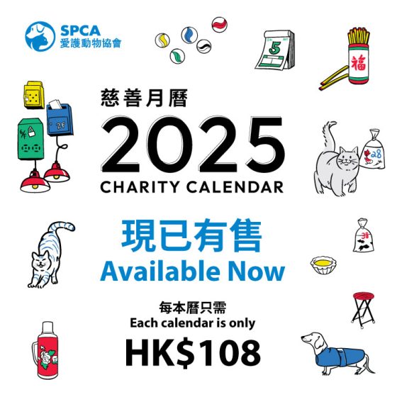 主頁 - SPCA - 香港愛護動物協會