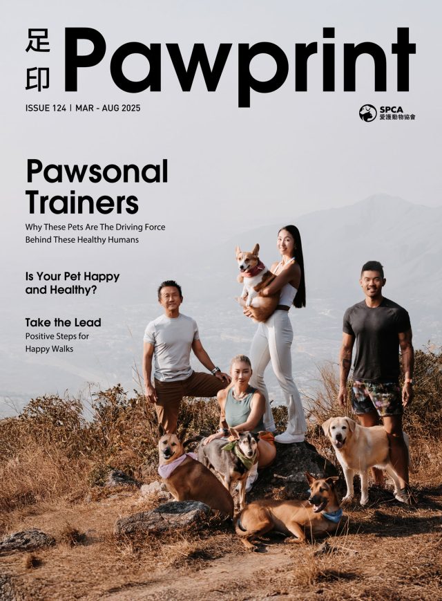 Pawprint Magazine - SPCA